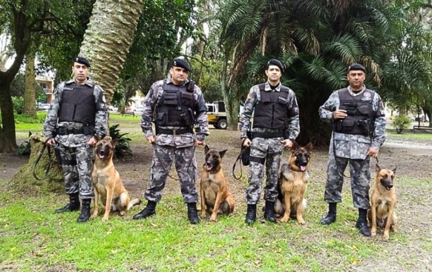 CANIL DA BRIGADA MILITAR COMPLETA 32 ANOS DE HISTÓRIA | Cristal Web Rádio